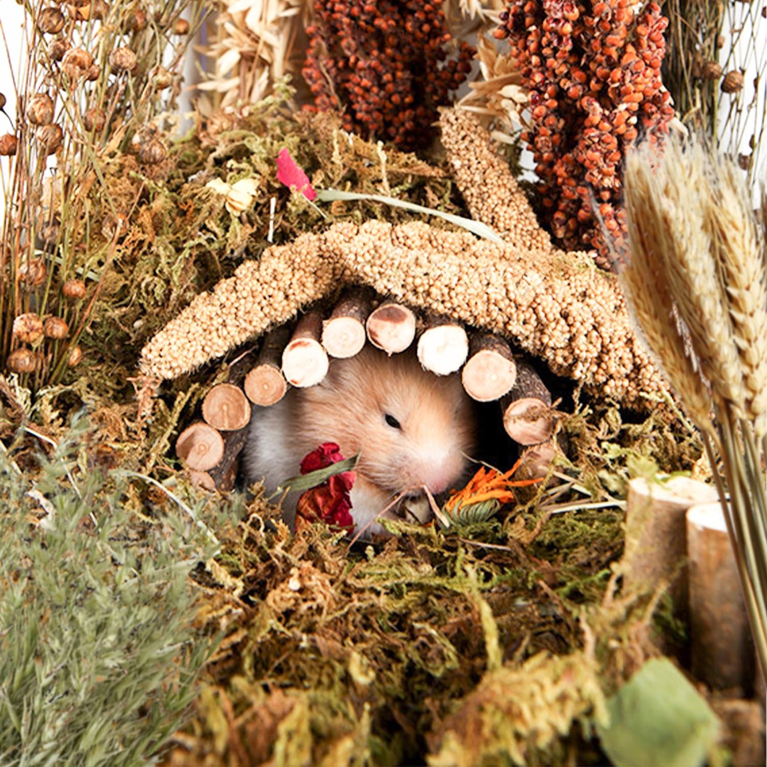 NICERINC PET Natural Ear of Grain Flower&Herb Bedding Mate Habitat Decor, Adding Fun Hamster Accessories for Hamsters Gerbils Lemming