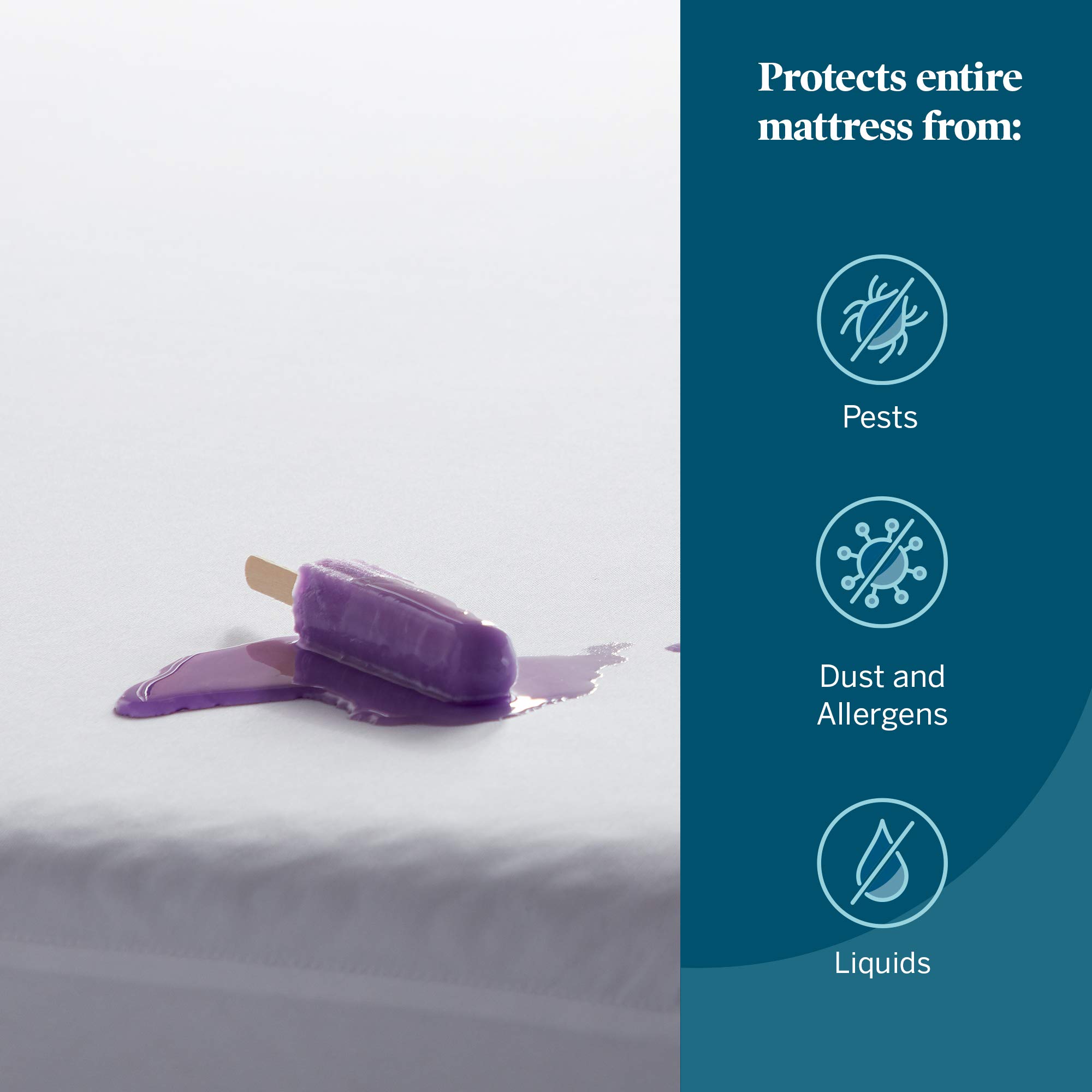 LUCID Encasement Mattress Protector - Completely Surrounds Mattress for Waterproof Protection, White, Queen