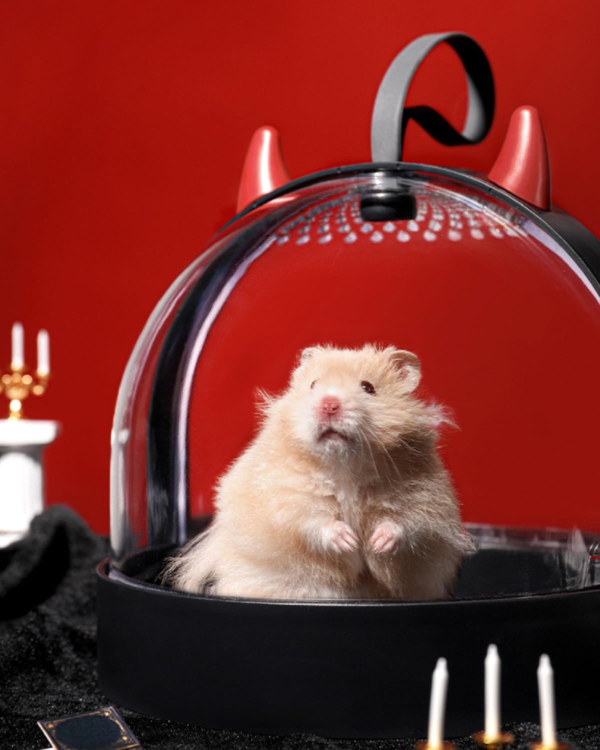 Portable Travel Small Animal Carrier Cage with Water Bottle, Breathable Small Pet Outgoing Bag Case for Hamster Sugar Glider Gerbil Hedgehog Squirrel Lizard Bird Ferrets Chinchilla Guinea Pig