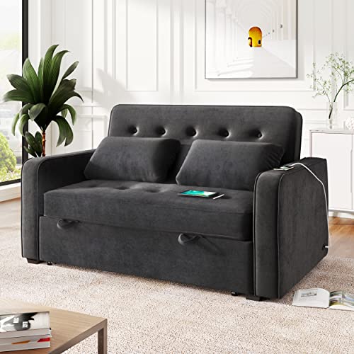 YUNLife&Home 65.7" Convertible Pull Out Sleeper Sofa Bed,Adjustable Loveseat Armchair Single Couch Chair with USB Port 2 Pillows for Living Room Apartment Small Space Furniture Set, Black