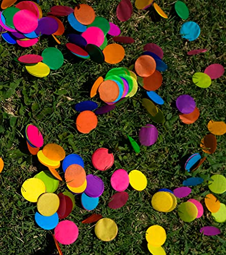 La Sol Imports Round Tissue Confetti Circle Dots Rainbow - Confetti for Party Table Wedding Celebrations Multicolor Biodegradable Paper Tissue 1 inch Circles, 1.4 Ounce (Pack of 1)