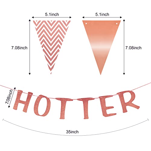 Older Wiser Hotter Banner, Funny Birthday Party Decorations for Adults, Rose Gold Glitter Party Supplies for Women, 30th 40th 50th 60th 70th 80th Bday Triangle Flags Sign Decor