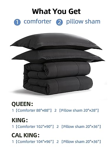 ZHGANLO Queen Comforter Set -3 Pieces Black Comforter Set for Queen Size Bed, Quilted Bedding Sets Queen for All Season, Bed in a Bag with 1 Comforter and 2 Pillowcases
