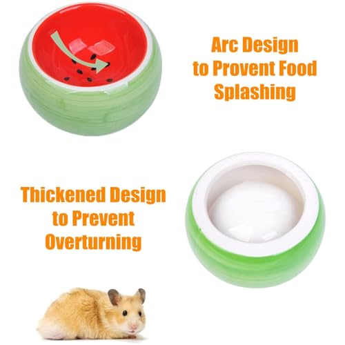 Bangminda 3Pcs Hamster Bowl Ceramic Small Animal Water Bowl Prevent Tipping Anti-Bite Ceramic Feeding Bowls for Guinea Pig Gerbil Ferret Syrian Hamster Chinchilla Rat Hedgehog Bunny