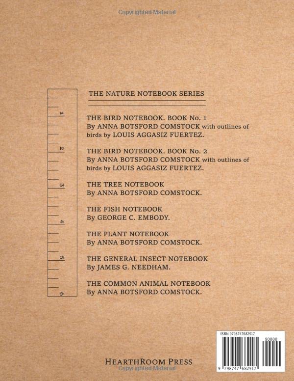 Notes on Insects: The Nature Notebook Series