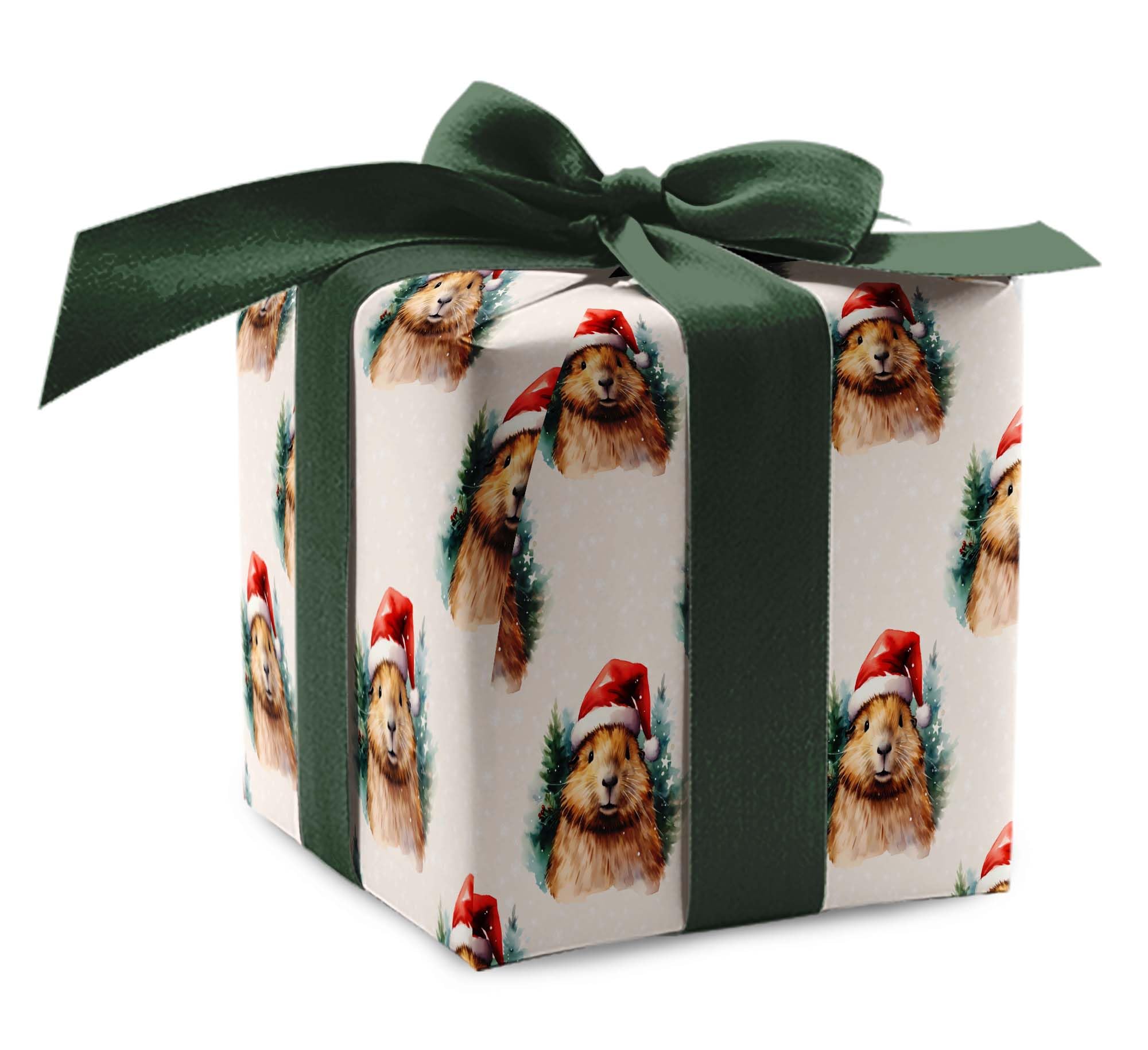 Watercolor Hamster Gerbil Guinea Pig Xmas Gift Wrap Premium Thick Wrapping Paper Capybara Animal Theme Merry Christmas Rodent Party Decor (6 foot x 30 inch roll)