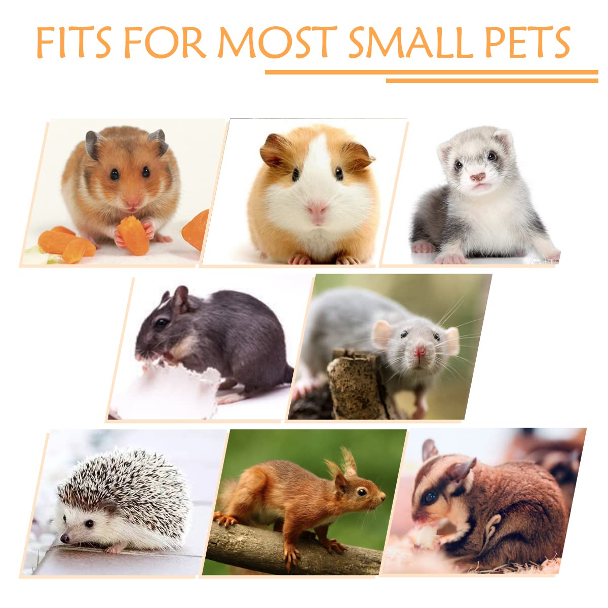 Guinea Pig Rat Corner Tunnel & Tubes Bunkbed Hammock, Guinea Pig Hideout for Small Pet Hedgehog Piggy Hamster Hide(1. Hammock&Tunnel-Dinosaur)