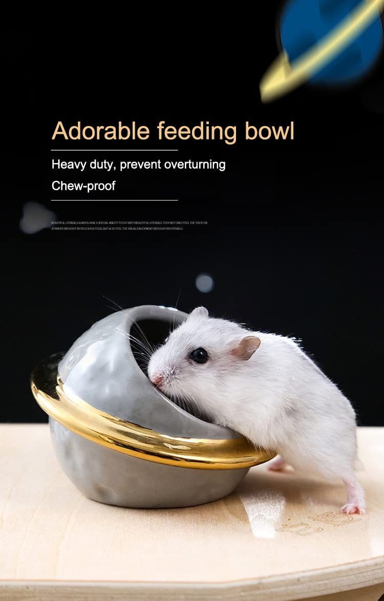 iHOO Hamster Feeding & Water Food Bowls,Planet Shape Ceramic Bowl for Dwarf Syrian Hamsters Gerbils Mice Rats Small Animals(Planet Type 2)