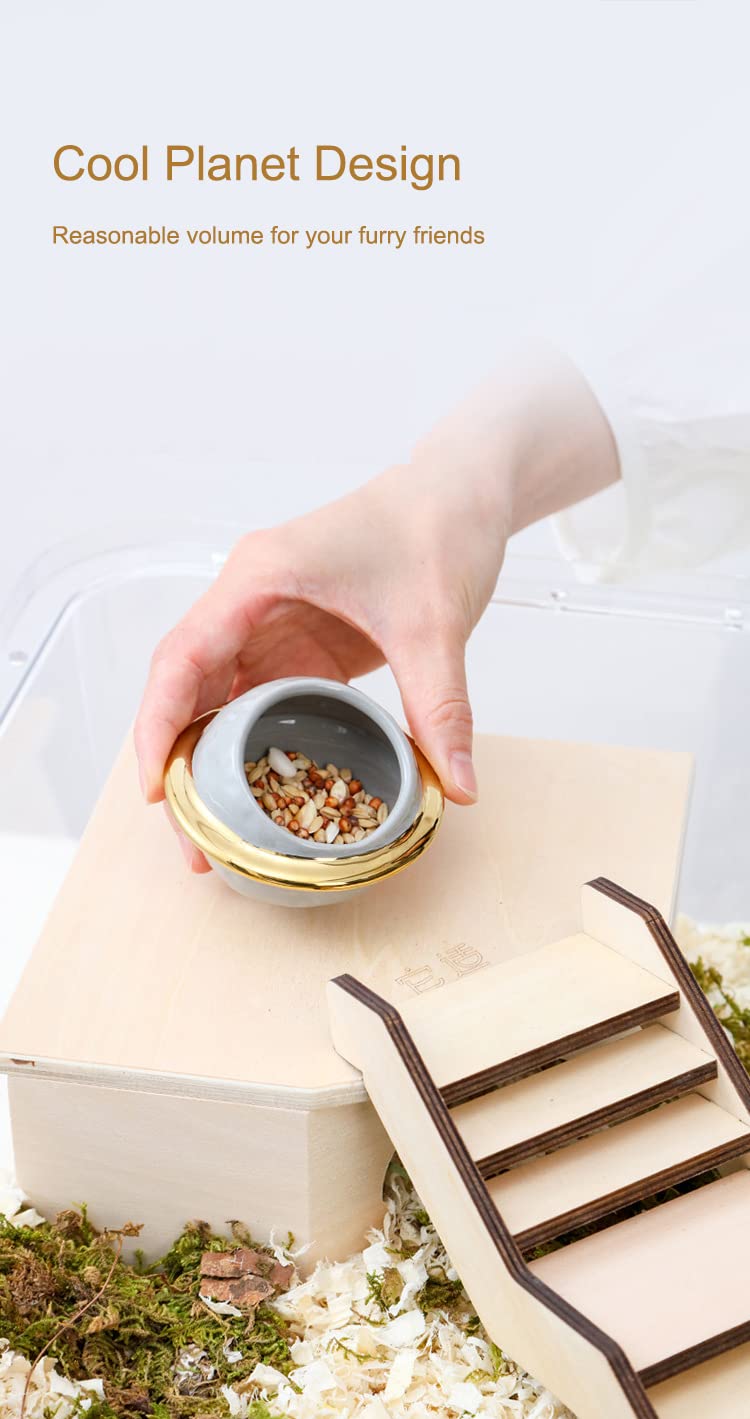iHOO Hamster Feeding & Water Food Bowls,Planet Shape Ceramic Bowl for Dwarf Syrian Hamsters Gerbils Mice Rats Small Animals(Planet Type 2)