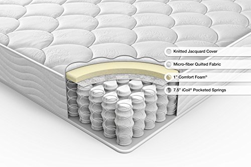 Night Therapy 8" Premium Tight Top Spring Mattress - TwinXL