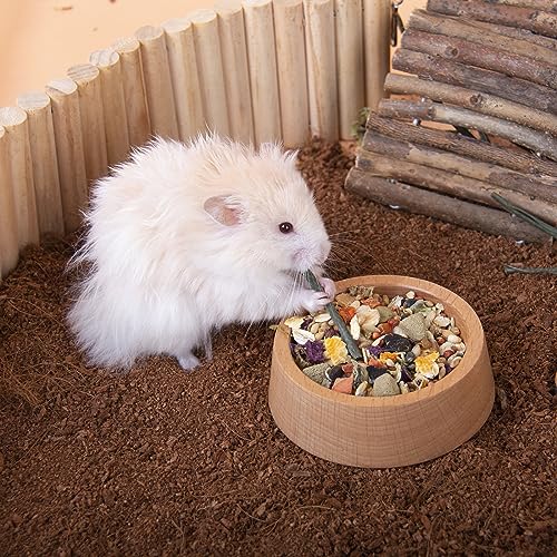 Rubor Hamster Food Bowl, Wooden Guinea Pig Food Dish Feeding Bowl for Small Animal Dwarf Hamster Syrian Gerbil Mice Degu Chipmunk Squirrel Hedgehog (Large)