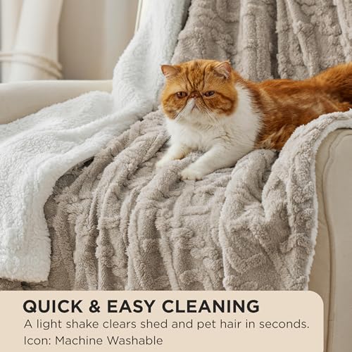 Bedsure Sherpa Fleece Blanket Twin Size for Bed - Fuzzy Soft Cozy Cable Throw for Couch, Thick Warm Blankets for Winter, Beige, 60x80 Inches