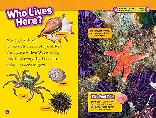 Tide Pools (National Geographic Kids Readers, Level 1)