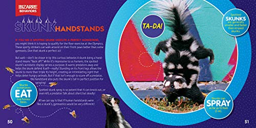 National Geographic Kids Funny Animals: CRITTER COMEDIANS, PUNNY PETS, and HILARIOUS HIJINKS