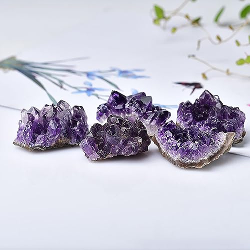 AierCrystal Amethyst Crystals, Amethyst Clusters ,Raw Amethyst, Natural Amethyst Healing Crystal Stones (About 2 Ounces)