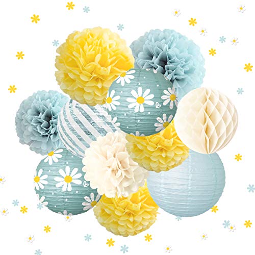 NICROLANDEE 12Pcs Yellow Blue Daisy Paper Lanterns Tissue Pom Poms Table Confetti 50G for Daisy Party, Boho First Birthday, Garden Party, Wedding, Baby Shower, Bridal Shower, Easter Decor
