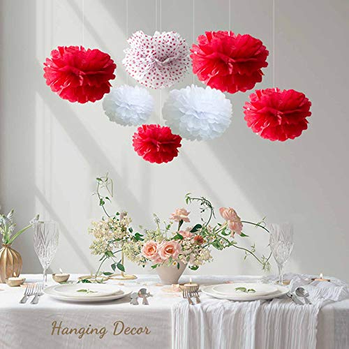 ANSOMO Red Tissue Paper Pom Poms Flowers Wall Hanging Party Decorations 12" 10" 8" 6" Pack of 12, Red & White
