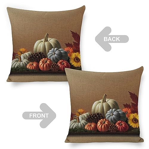 JOJOART Colourful Pumpkins Throw Pillow Covers 18×18 Pillowcases Set of 2 Thanksgiving Linen Decorative Square Pillow Case Cushion Covers Standard Size for Sofa Couch Outdoor Bed Pillow Protectors