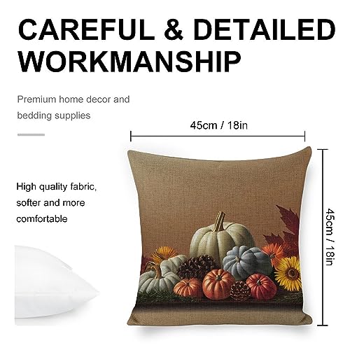 JOJOART Colourful Pumpkins Throw Pillow Covers 18×18 Pillowcases Set of 2 Thanksgiving Linen Decorative Square Pillow Case Cushion Covers Standard Size for Sofa Couch Outdoor Bed Pillow Protectors