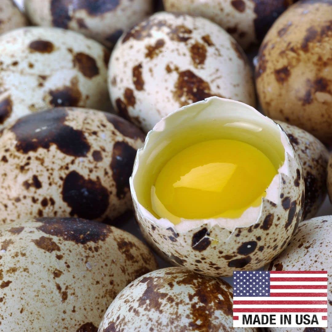 Fresh Quail Eggs from organically fed Quail (24 Count)