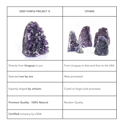 DEEP PURPLE PROJECT Amethyst Crystal Geode Spiritual Healing Rocks Cluster Quartz Stone (250 grams or less, Amethyst Purple)