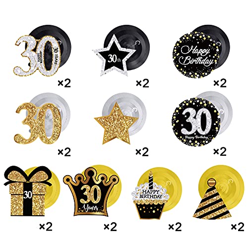 30 Count 30th Birthday Party Decorations, 30th Birthday Party Hanging Swirls Ceiling Decorations with Cutout Shiny Celebration Hanging Streamers Spirals Ornaments for Birthday Party Supplies