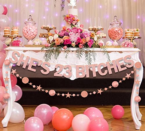 Ushinemi She's 23 Bitches Banner 23rd Birthday Decorations for Women, Funny Glitter Rose Gold Birthday Banner With Circle Dot Twinkle Star Garland