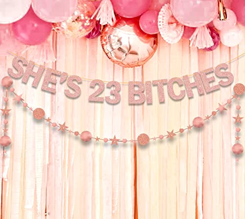 Ushinemi She's 23 Bitches Banner 23rd Birthday Decorations for Women, Funny Glitter Rose Gold Birthday Banner With Circle Dot Twinkle Star Garland