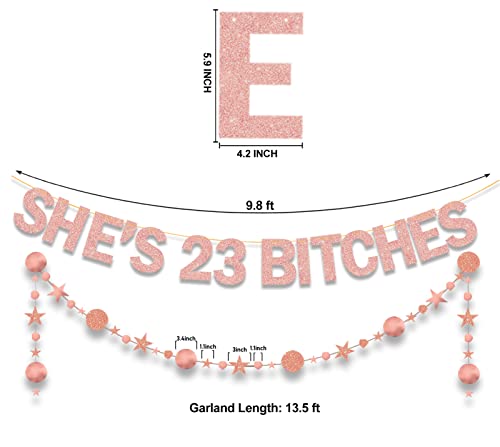 Ushinemi She's 23 Bitches Banner 23rd Birthday Decorations for Women, Funny Glitter Rose Gold Birthday Banner With Circle Dot Twinkle Star Garland