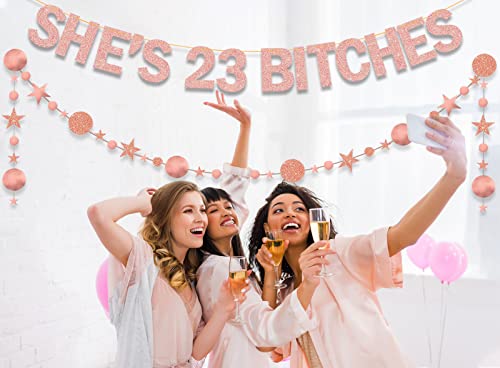 Ushinemi She's 23 Bitches Banner 23rd Birthday Decorations for Women, Funny Glitter Rose Gold Birthday Banner With Circle Dot Twinkle Star Garland