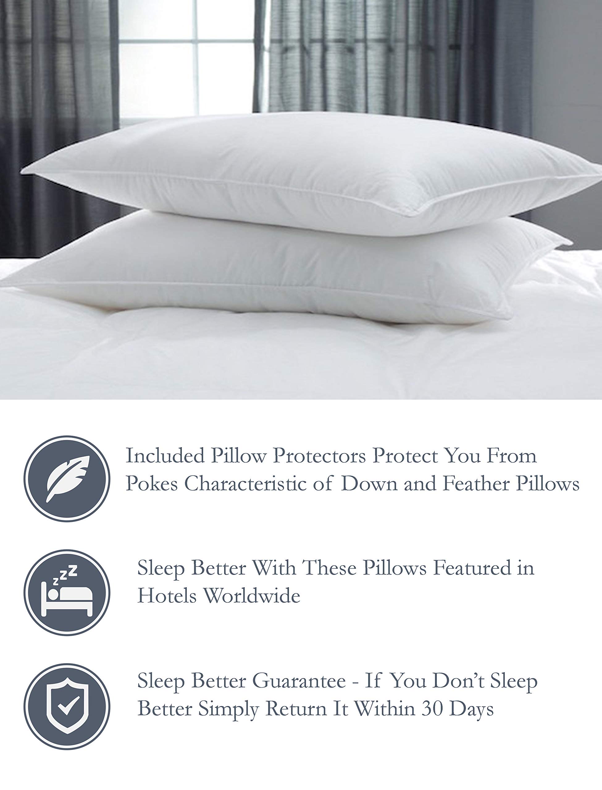 Pacific Coast Touch of Down Standard Size 2-Pillow Set with 2 Standard Size Pillowtex Pillow Protectors