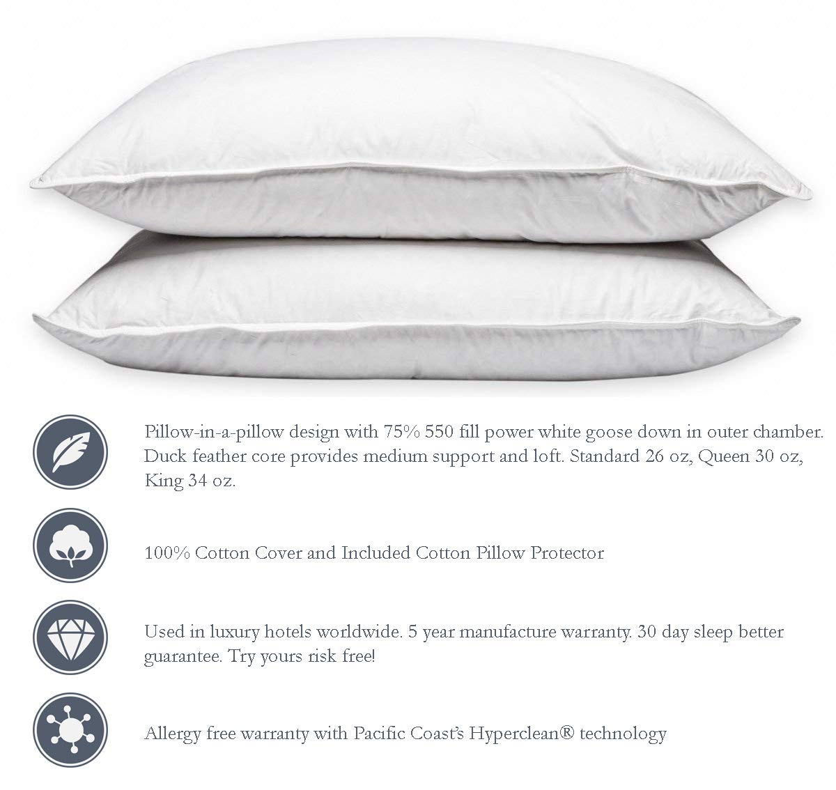Pacific Coast Touch of Down Standard Size 2-Pillow Set with 2 Standard Size Pillowtex Pillow Protectors