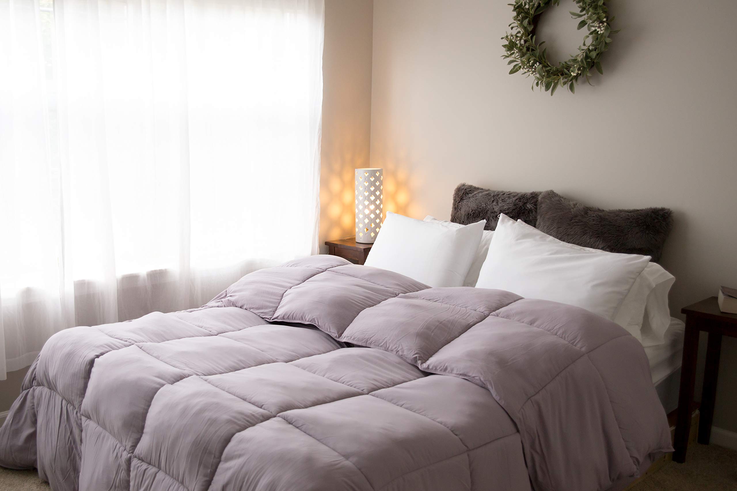 Pacific Coast Touch of Down Standard Size 2-Pillow Set with 2 Standard Size Pillowtex Pillow Protectors