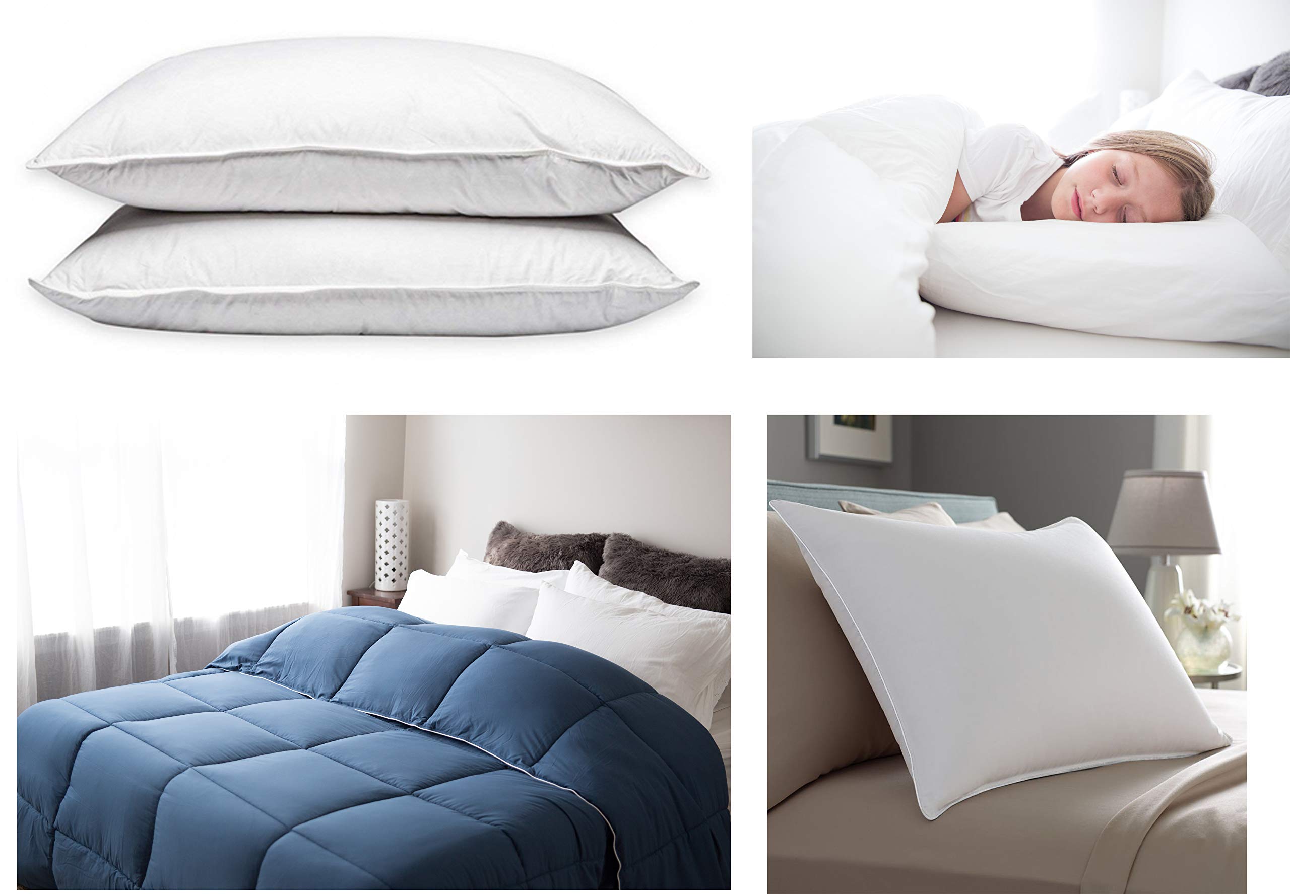 Pacific Coast Touch of Down Standard Size 2-Pillow Set with 2 Standard Size Pillowtex Pillow Protectors