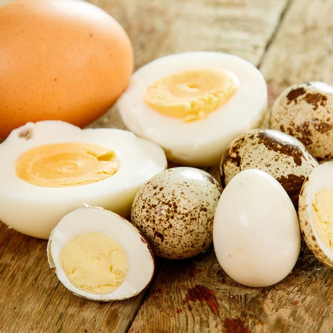 Undique Fresh Quail Eggs Gourmet Food, Aviary Raised Eggs Organic, Organic Eggs 12 Count, Premium Quail Eggs for Culinary Excellence