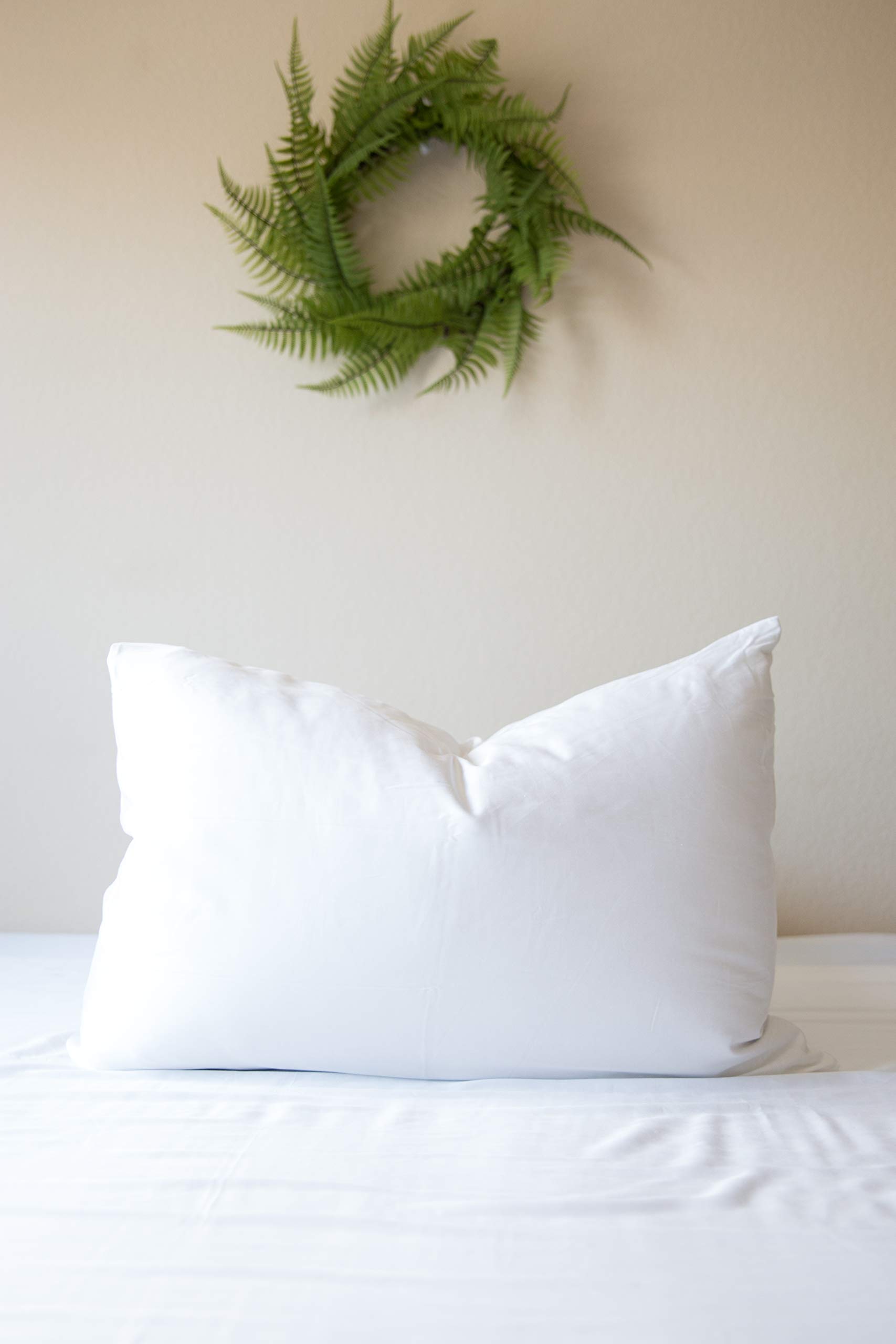 Pacific Coast Touch of Down Standard Size 2-Pillow Set with 2 Standard Size Pillowtex Pillow Protectors