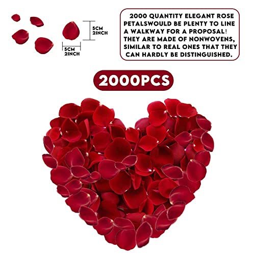 40 Pcs-Silver "Will you marry me" Balloon Pack -Proposal Balloon Banner and 2000 pcs Red Rose Petals proposal Decoration-proposal idea-Diamond ring Balloon-Valentine's Day Proposal (silver floral proposal)