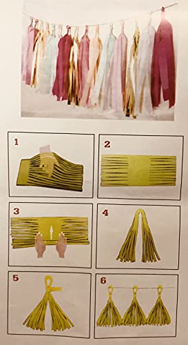 Just Married Banner & Wedding Balloons - Wedding Car Decorations Kit - Mr Mrs Wedding Balloon with Tassel Garland - Jumbo Wedding Balloons Decorations by Jolly Jon