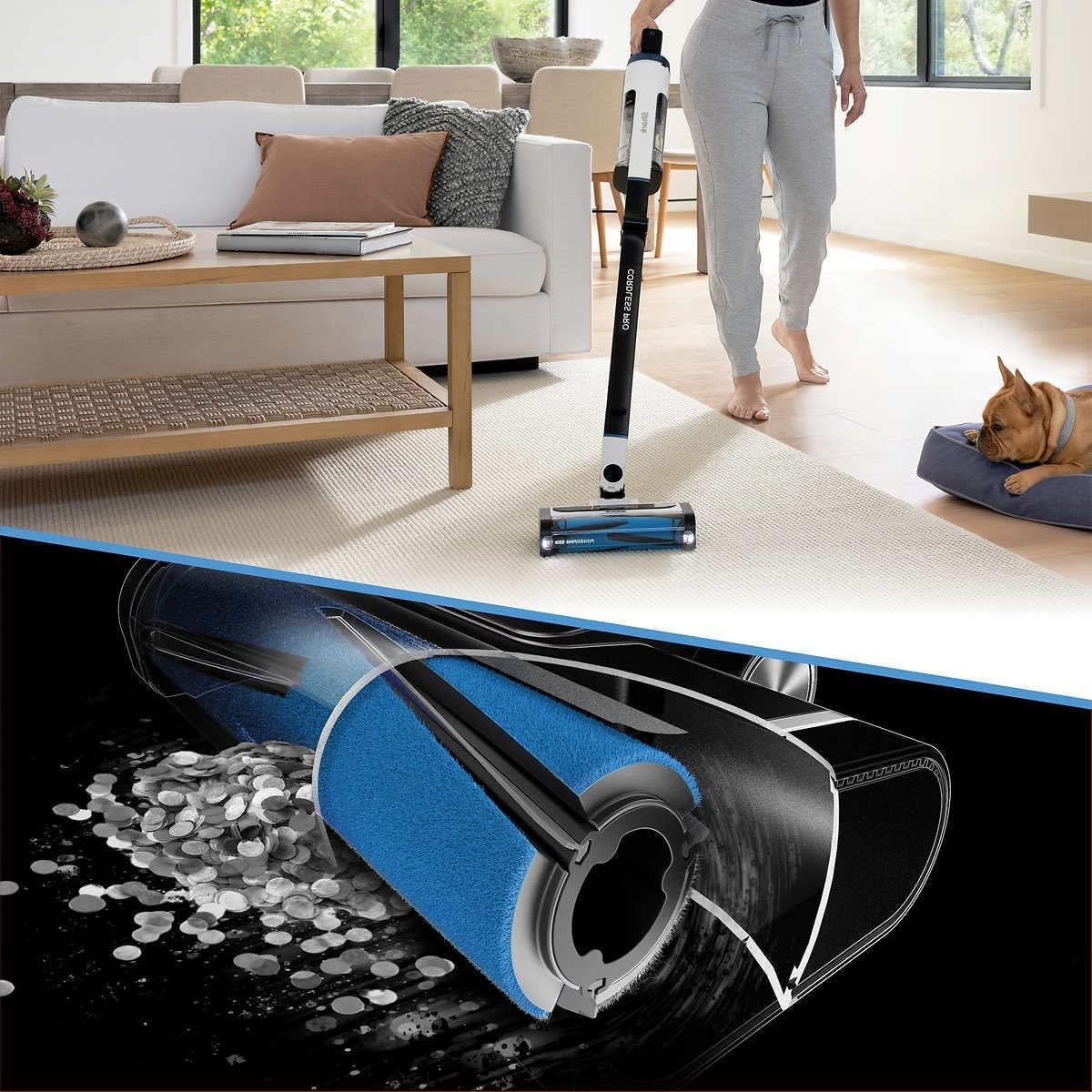Shark UZ565H Pro Cordless Pet Plus Stick Vacuum with Anti-Allergen Complete Seal, MultiFLEX PowerFins Plus Brushroll, Duster Crevice Tool Dusting Brush, Up to 40 Minute Runtime, White/Blue (Renewed)