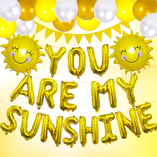 Sunshine Party Decorations Yellow Birthday Decorations Sun Party Decorations Sunshine Birthday Decorations You Are My Sunshine Party Decorations Banner Sunshine Baby Shower Decorations Sun Balloon