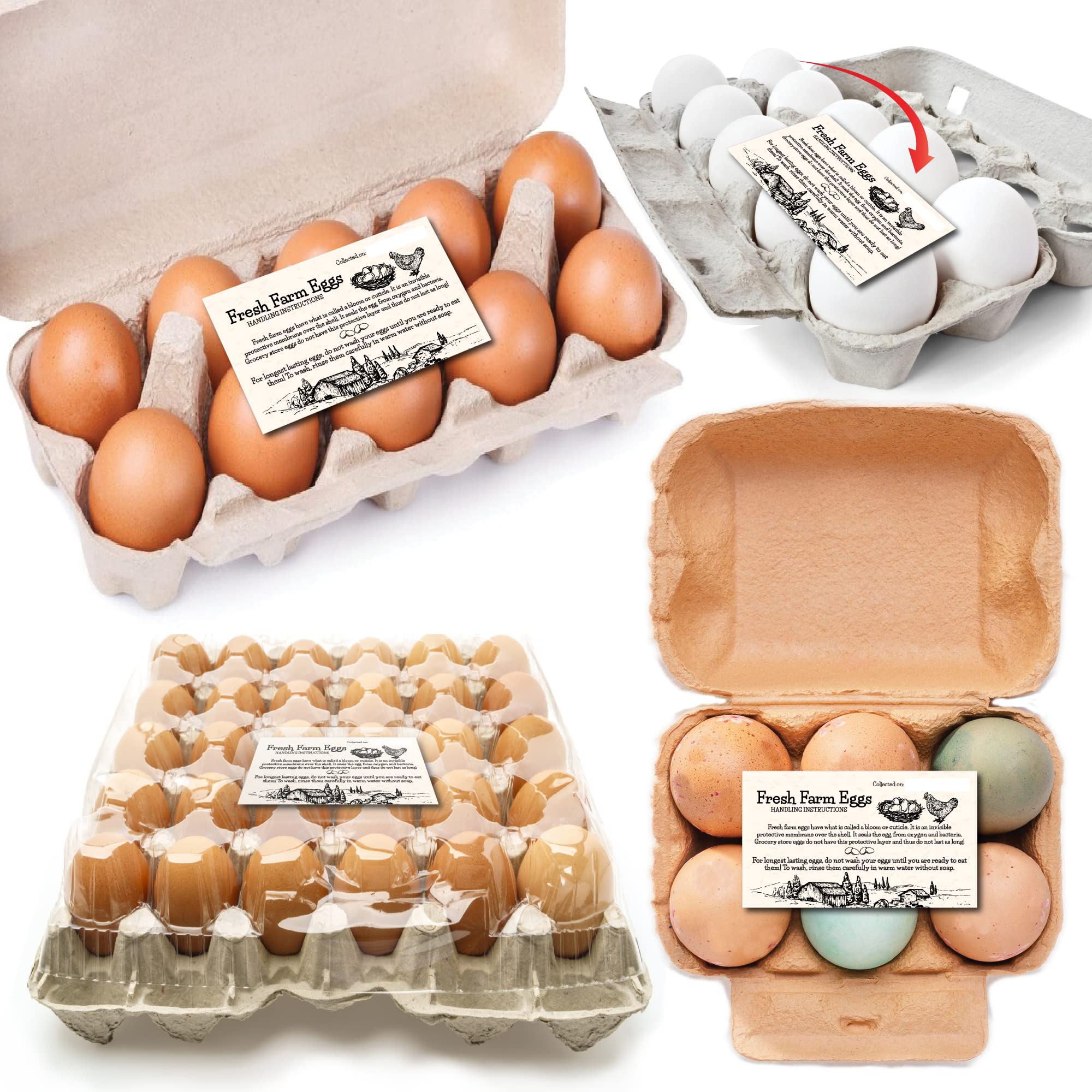 Havongki 100pcs Premium Fresh Farm Eggs Handling Instructions Care Accessories Cards Labels | Egg Blank Cartons 4 6 12 15 18 30 48 50 Count Basket Box Container Storing Extra Organizer (M03-1CH)
