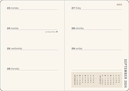 2024 Amethyst Butterflies Weekly Planner (16 months, Sept 2023 to Dec 2024)