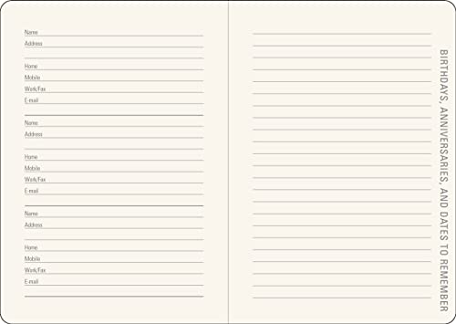2024 Amethyst Butterflies Weekly Planner (16 months, Sept 2023 to Dec 2024)