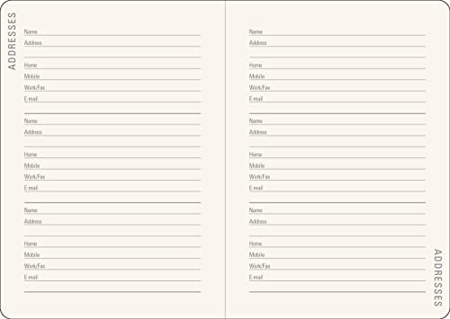 2024 Amethyst Butterflies Weekly Planner (16 months, Sept 2023 to Dec 2024)