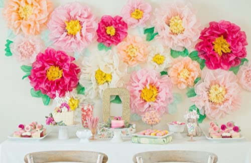 Originals Group Colorful Fiesta Paper Flowers for Wall Fairy Birthday Decoration Carnival Party Backdrop Centerpiece Wedding Outdoor Spring Rainbow Pastel Classroom Photo Props Assorted Pom Poms
