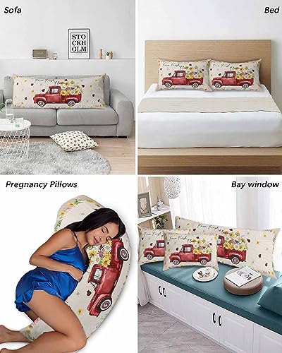 Edwiinsa Summer Truck Pillow Covers Standard Size Set of 2 20x26 Bed Pillow, Ladybug Spring Floral Rustic Plush Soft Comfort for Hair/Skin Cooling Pillowcases with Envelop Closure