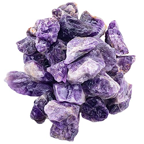 FORBY 1 lb Bulk Amethyst Rough Stones - Large 1" Natural Raw Stones Crystal for Tumbling, Cabbing, Fountain Rocks, Decoration,Polishing, Wire Wrapping, Wicca & Reiki Crystal Healing