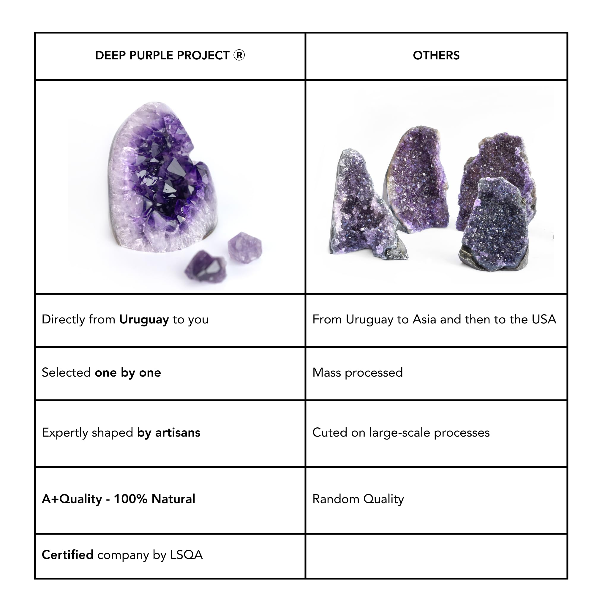 DEEP PURPLE PROJECT Large Amethyst Clusters 1 Lb to 1.7 Lb Quartz Crystal Geode Plus: Premium Gift Box Spiritual Healing Stone