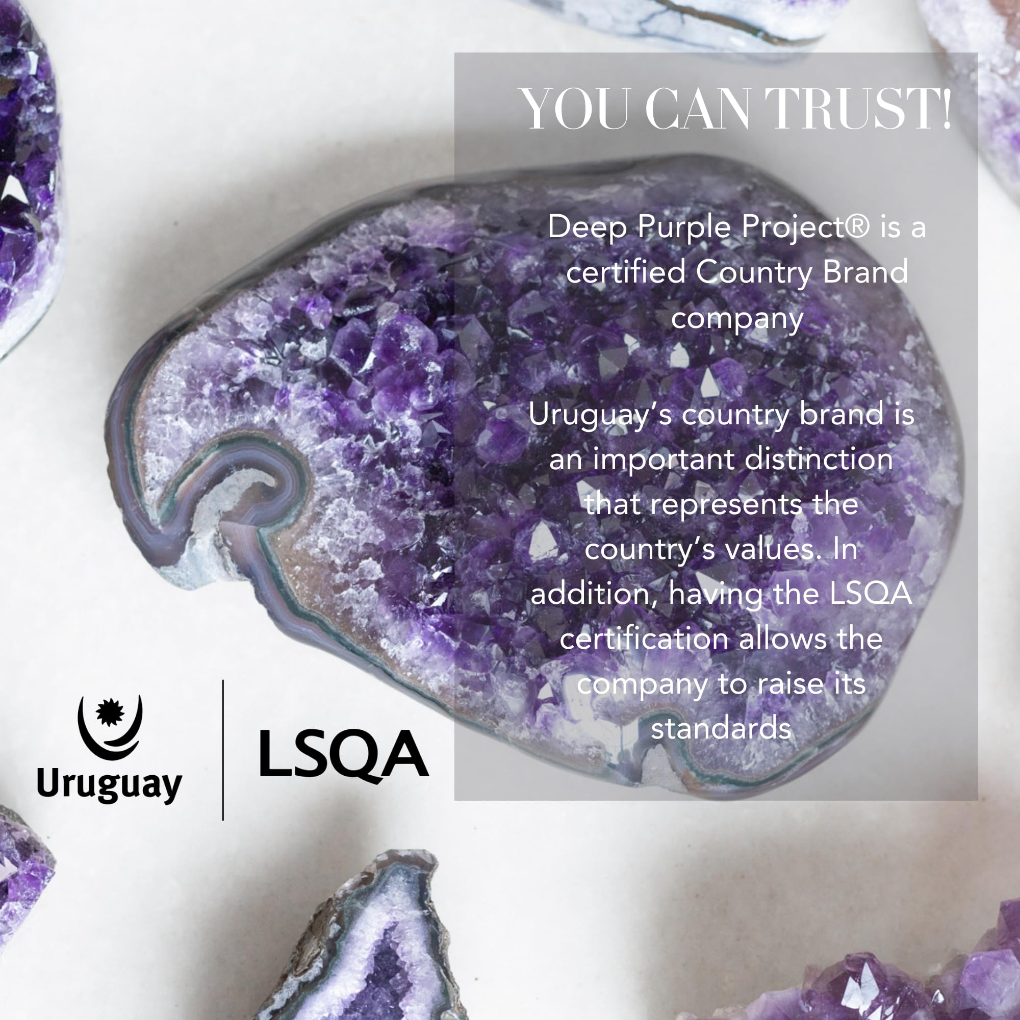 DEEP PURPLE PROJECT Large Amethyst Clusters 1 Lb to 1.7 Lb Quartz Crystal Geode Plus: Premium Gift Box Spiritual Healing Stone
