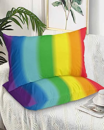 Edwiinsa Rainbow Stripes Pillow Covers King Standard Set of 2 Bed Pillow, Modern Colorful Striped Aesthetics Plush Soft Comfort for Hair/Skin Cooling Pillowcases with Envelop Closure 20''x36''